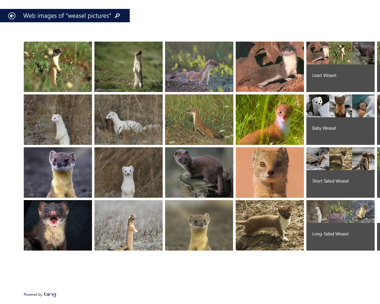 Hands-on with the Windows “Blue” desktop experience - Ars Technica