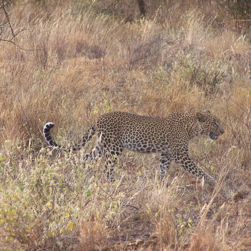 Tag: perception - Ars Technica