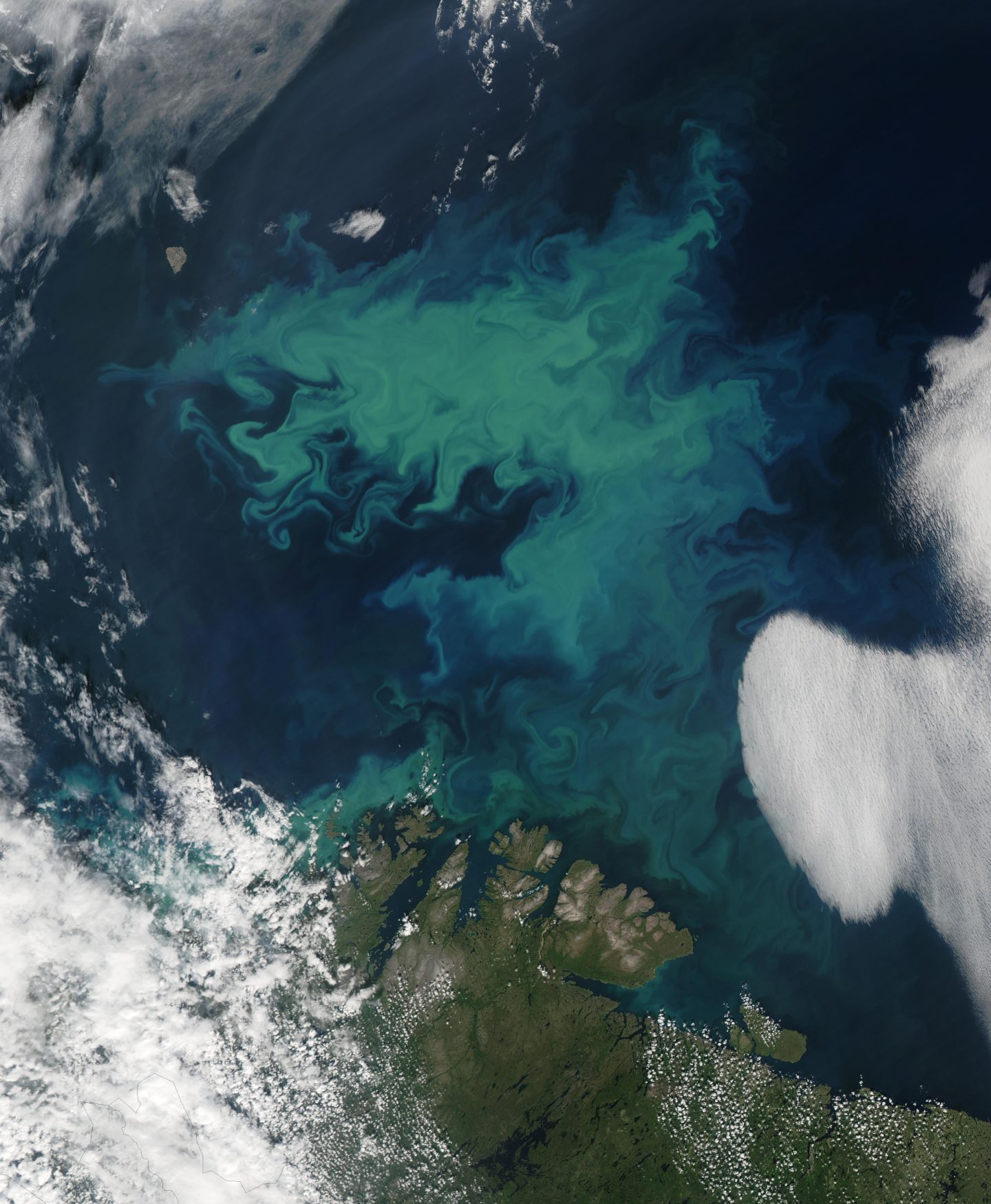 Ocean acidification could affect rising temperatures - Ars Technica