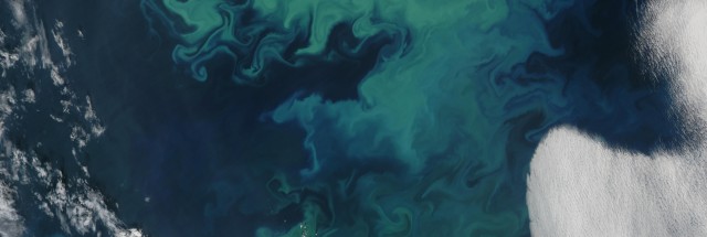 Ocean acidification could affect rising temperatures | Ars Technica