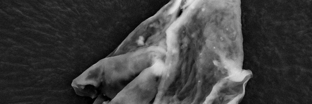 Proof of alien life? You need a lot more evidence than this | Ars Technica