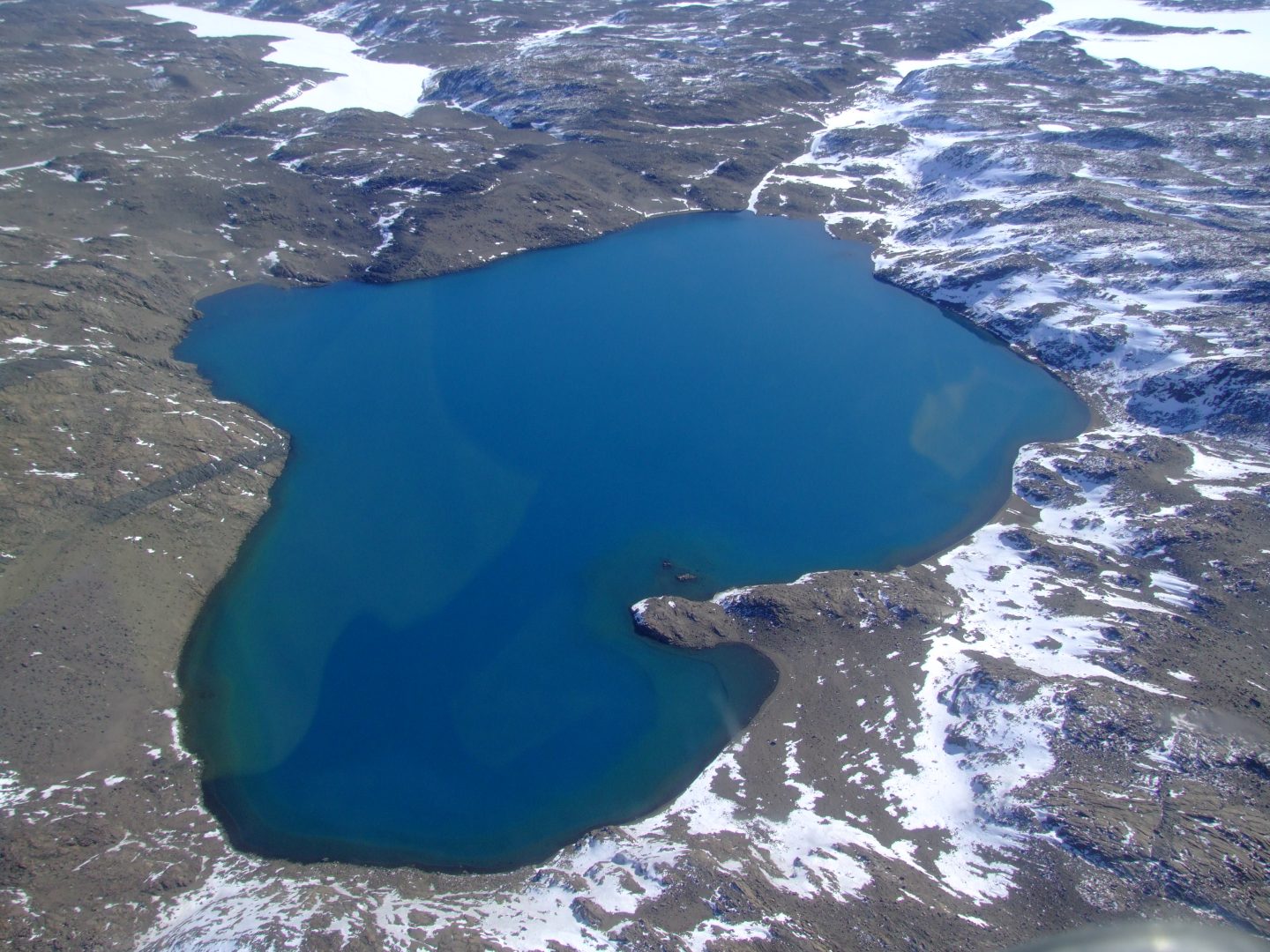 In Antarctic lake, extreme conditions lead to extreme genetics - Ars ...