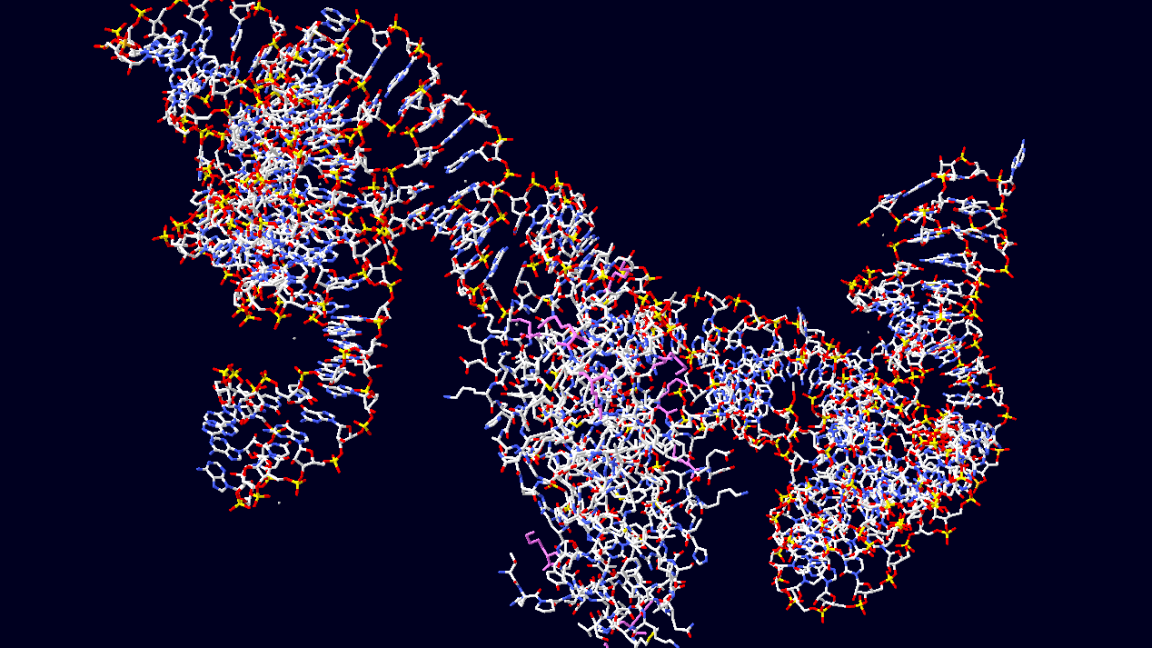 Quest for self-replicating RNA edges closer to life’s possible origin ...