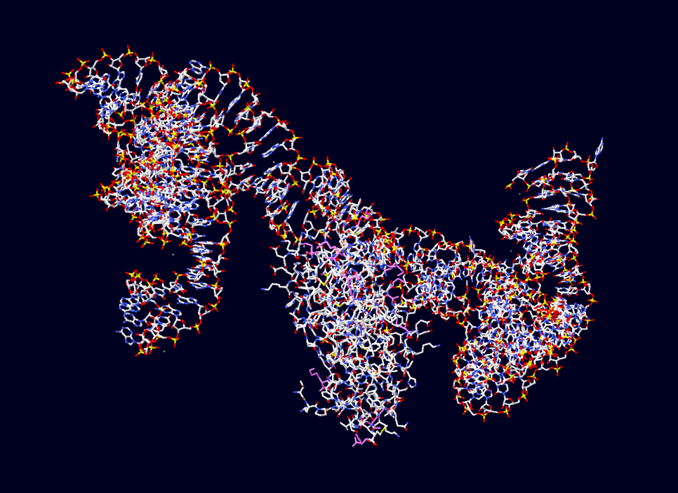 Quest for self-replicating RNA edges closer to life’s possible origin ...