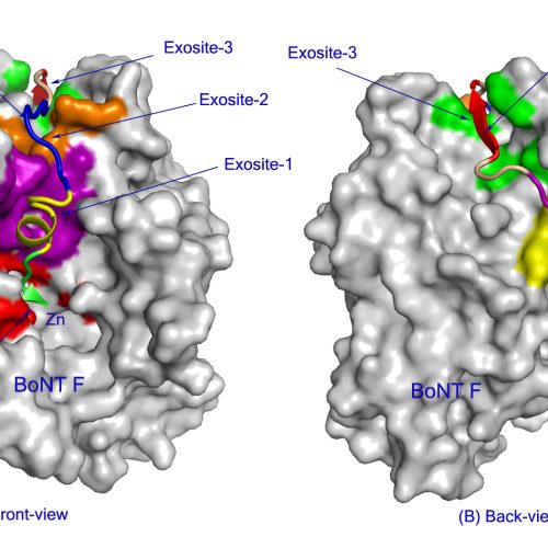 Tag: molecular modeling - Ars Technica