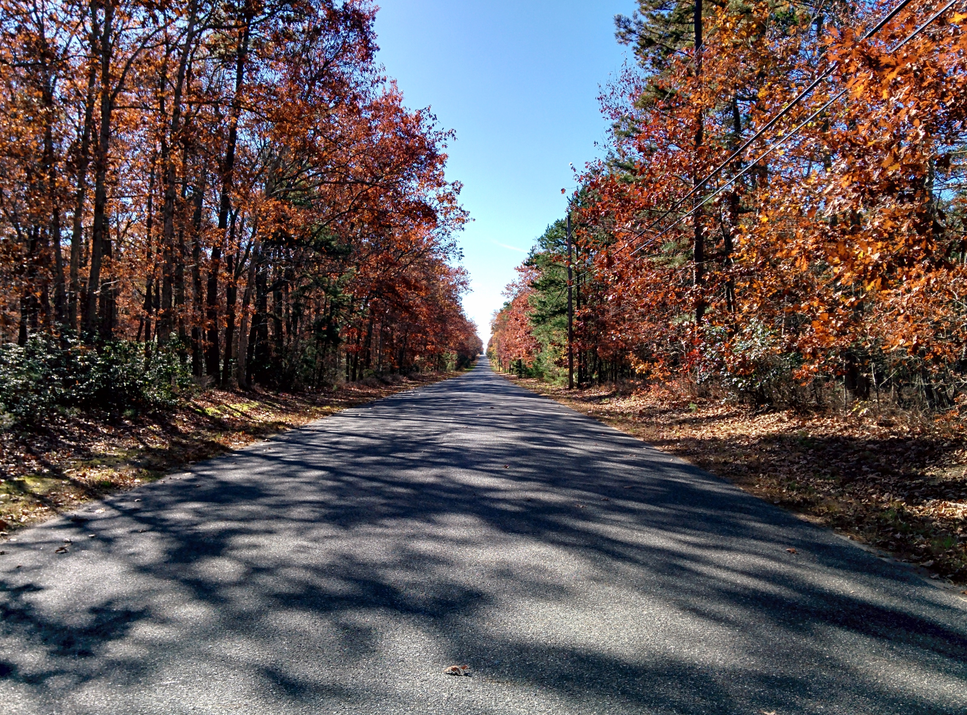 Nexus 5 Review: Flagship hardware for half the price | Ars Technica