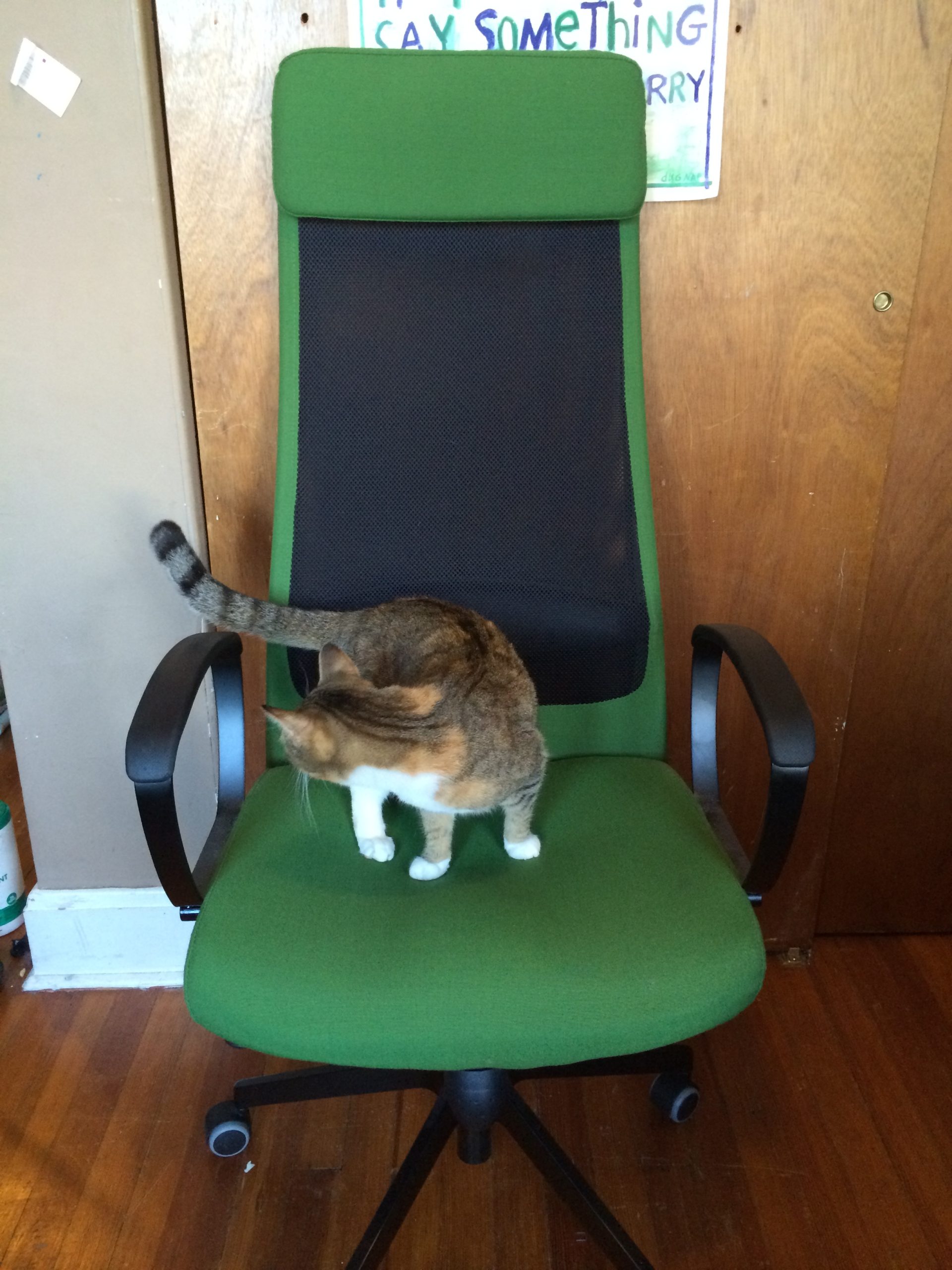 Chairs Technica: Where your favorite Ars writers park their rears - Ars ...