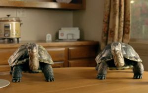 Bill would make it illegal for ISPs to slow down online video services ...