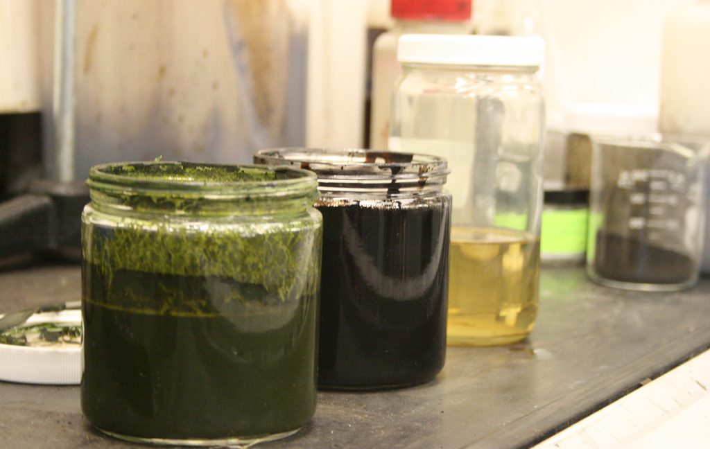 Algae go in, biocrude oil comes out - Ars Technica