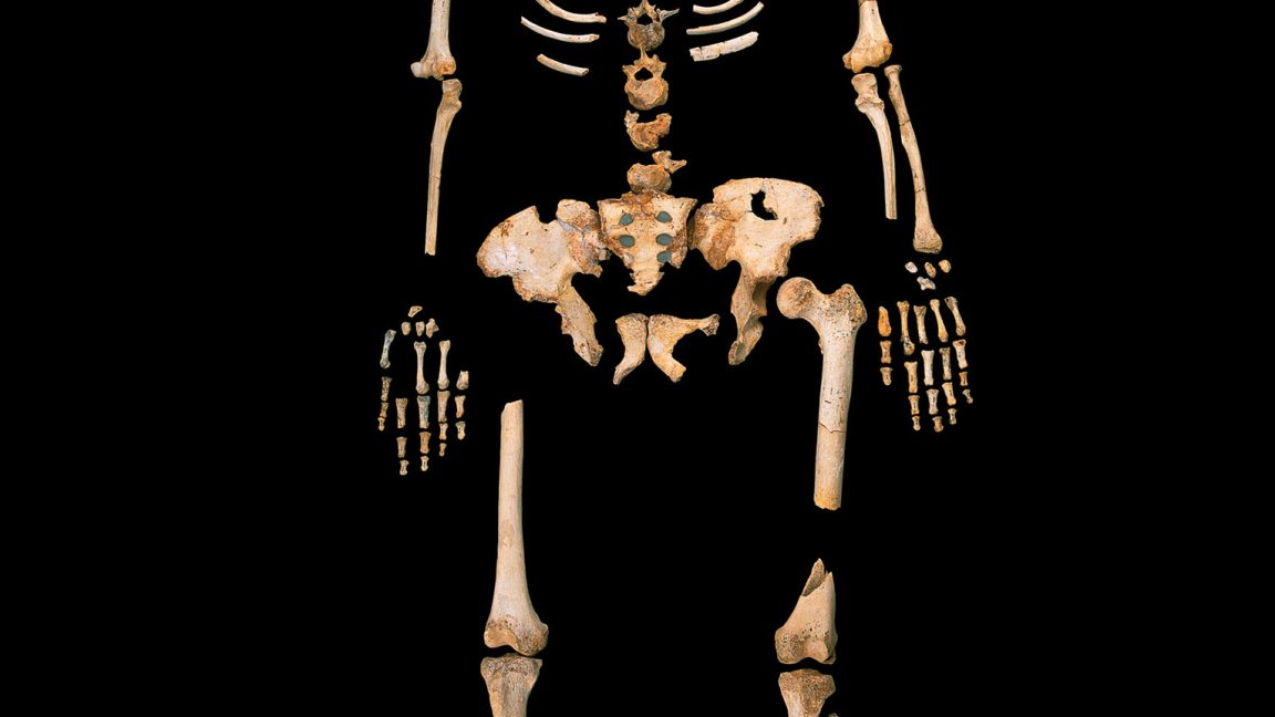 Oldest human DNA sequence yet confuses our picture of pre-modern humans ...