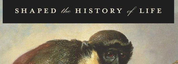How the vastly improbable has determined what animals got where | Ars ...