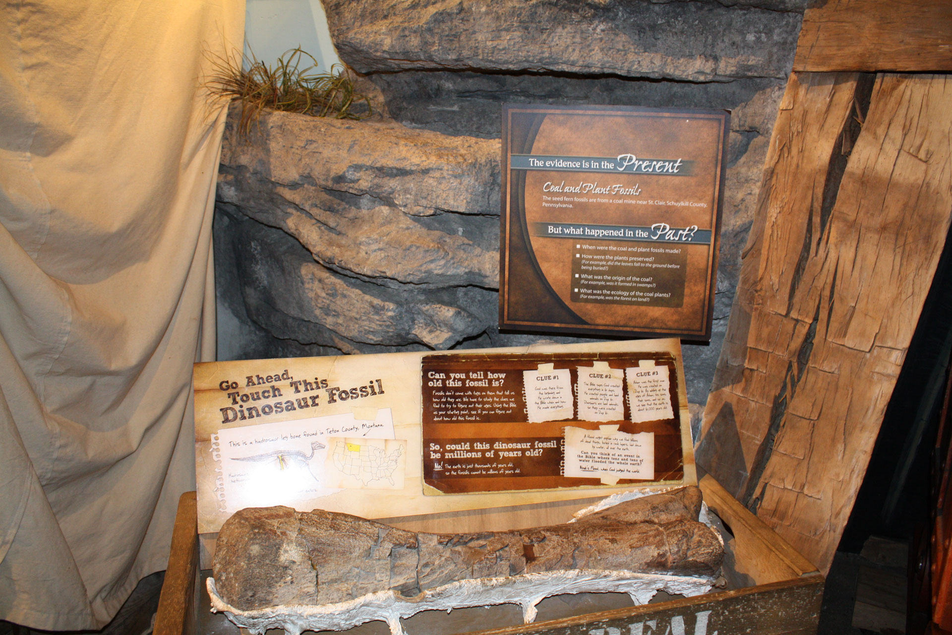 A visual tour of the Creation Museum - Ars Technica