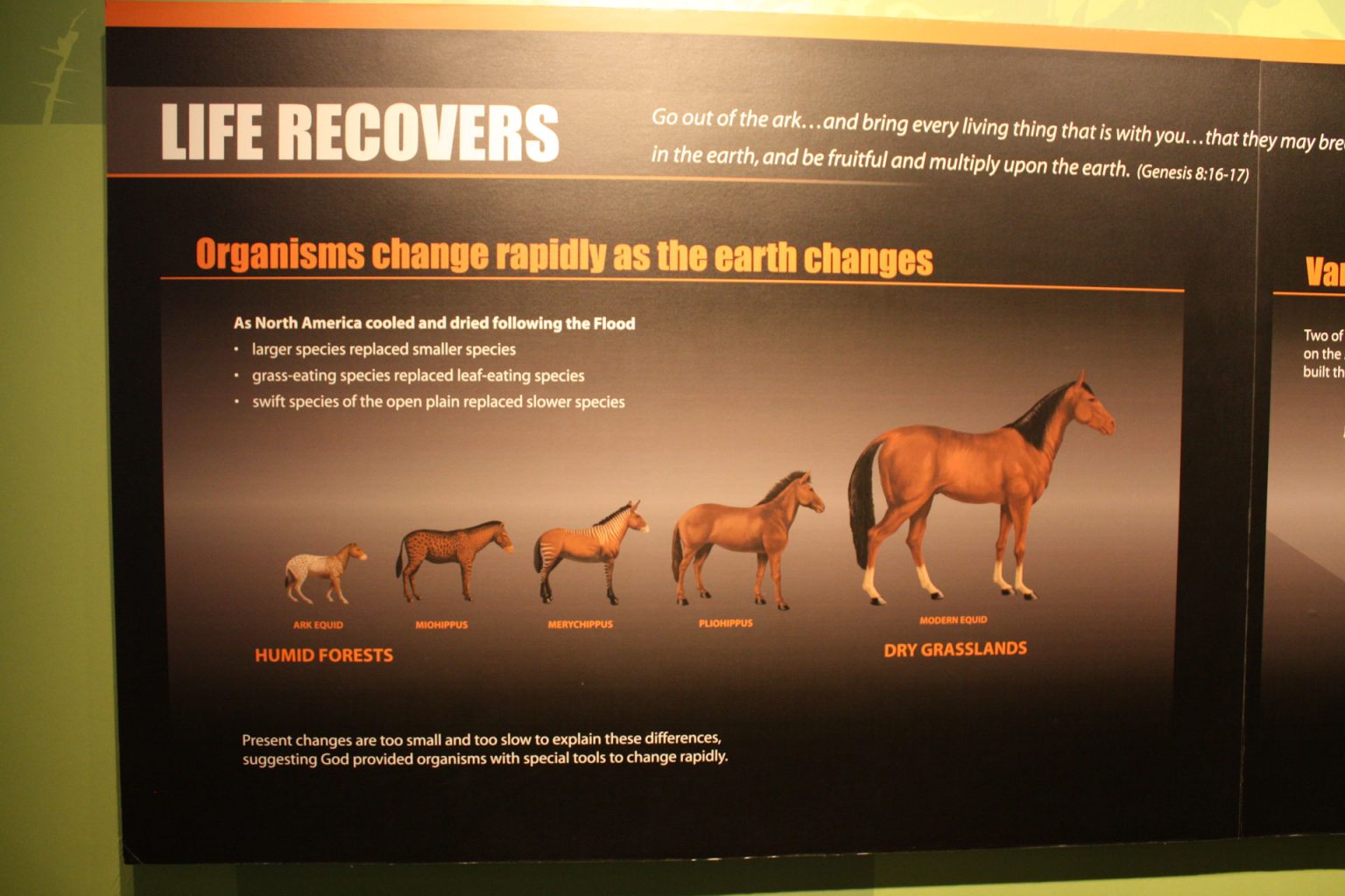 Ham on Nye: The high cost of “winning” an evolution/creation debate ...