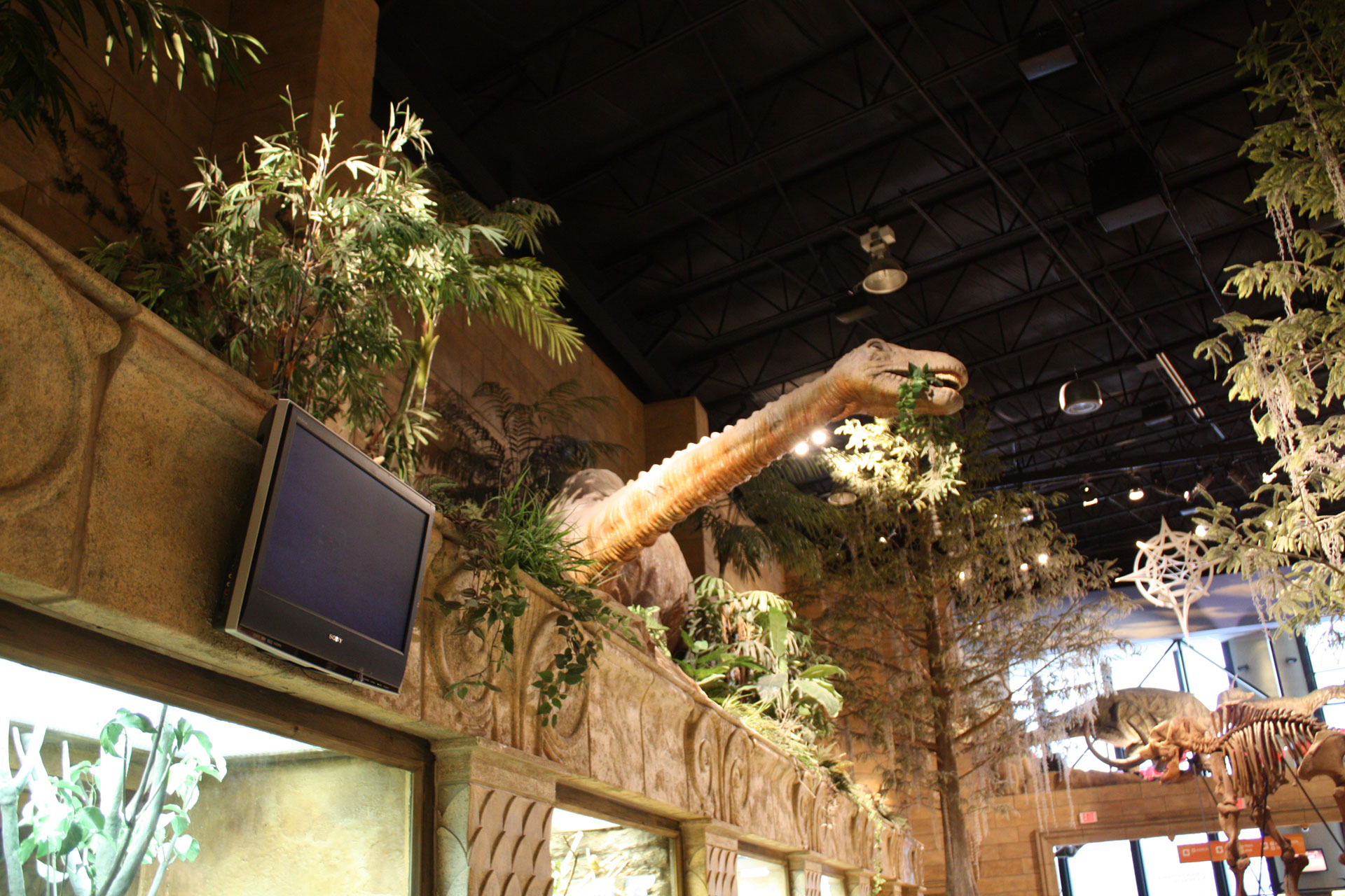 A visual tour of the Creation Museum - Ars Technica