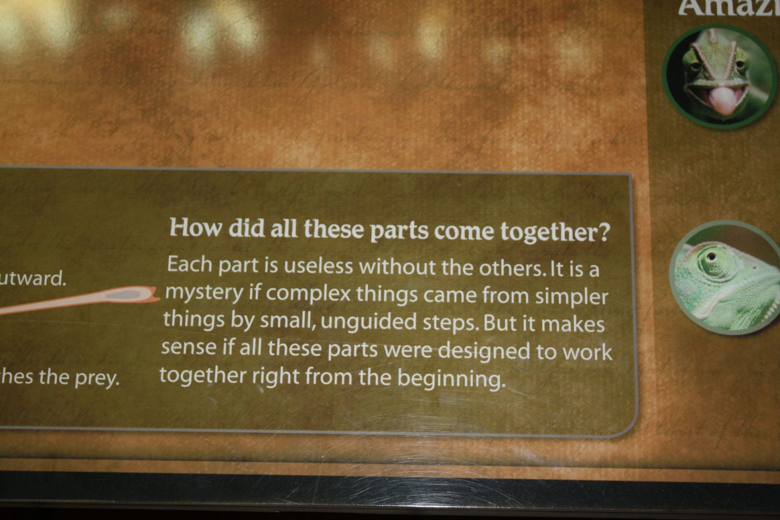 A visual tour of the Creation Museum - Ars Technica