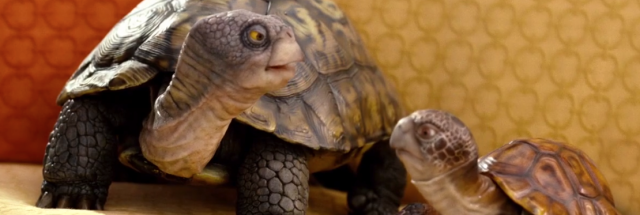 Netflix performance on Verizon and Comcast has been dropping for months ...