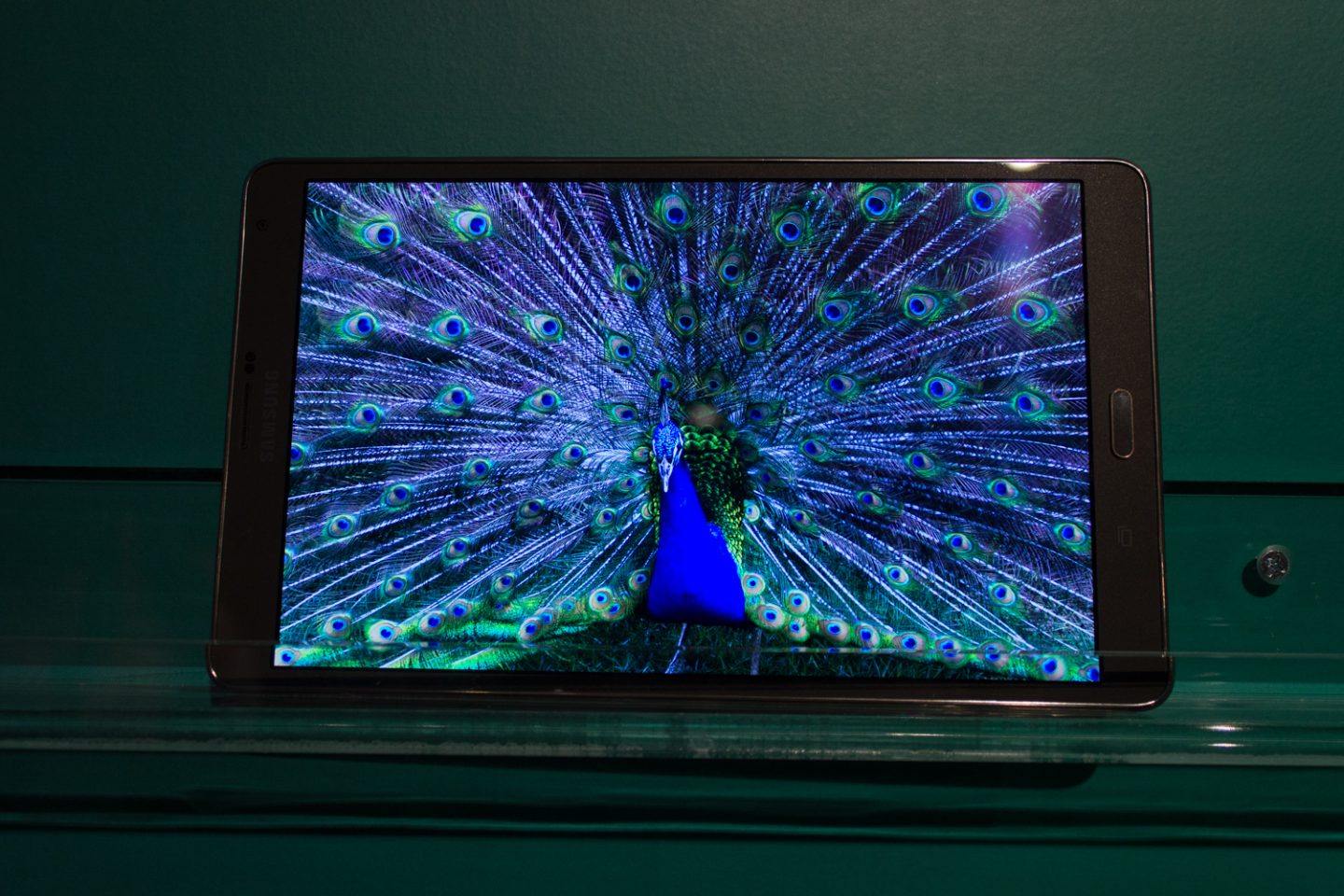 Hands on with Samsung’s two sharpest additions to the Galaxy Tab line ...