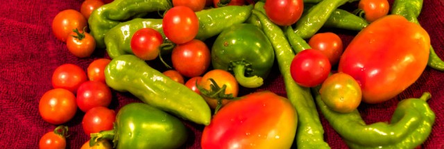 Fossilized poop shows that Neanderthals ate their veggies | Ars Technica