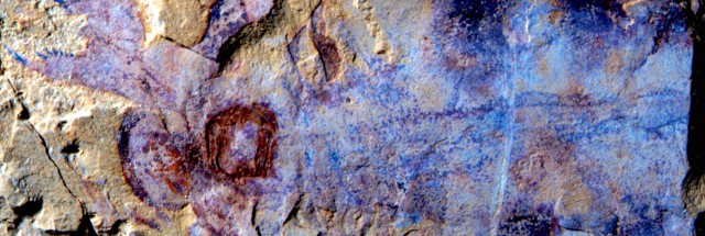 Fossils of strange Cambrian predator preserved with brain impressions ...