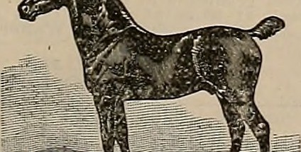 Internet Archive posts millions of historic images to Flickr | Ars Technica