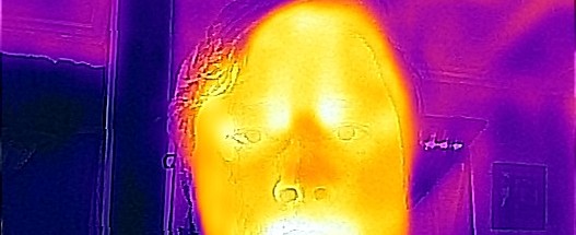 FLIR One gives your iPhone infrared Predator vision | Ars Technica
