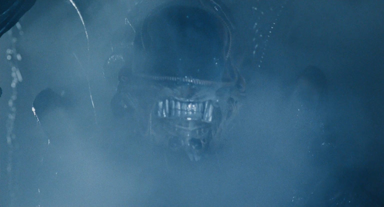 The throwaway line in Aliens that spawned decades of confusion - Ars ...