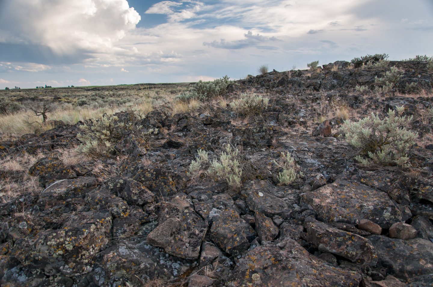 Gallery: More unhealed wounds from Washington’s nearly forgotten flood ...