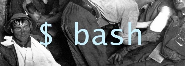 Concern over Bash vulnerability grows as exploit reported “in the wild” [Updated] | Ars Technica