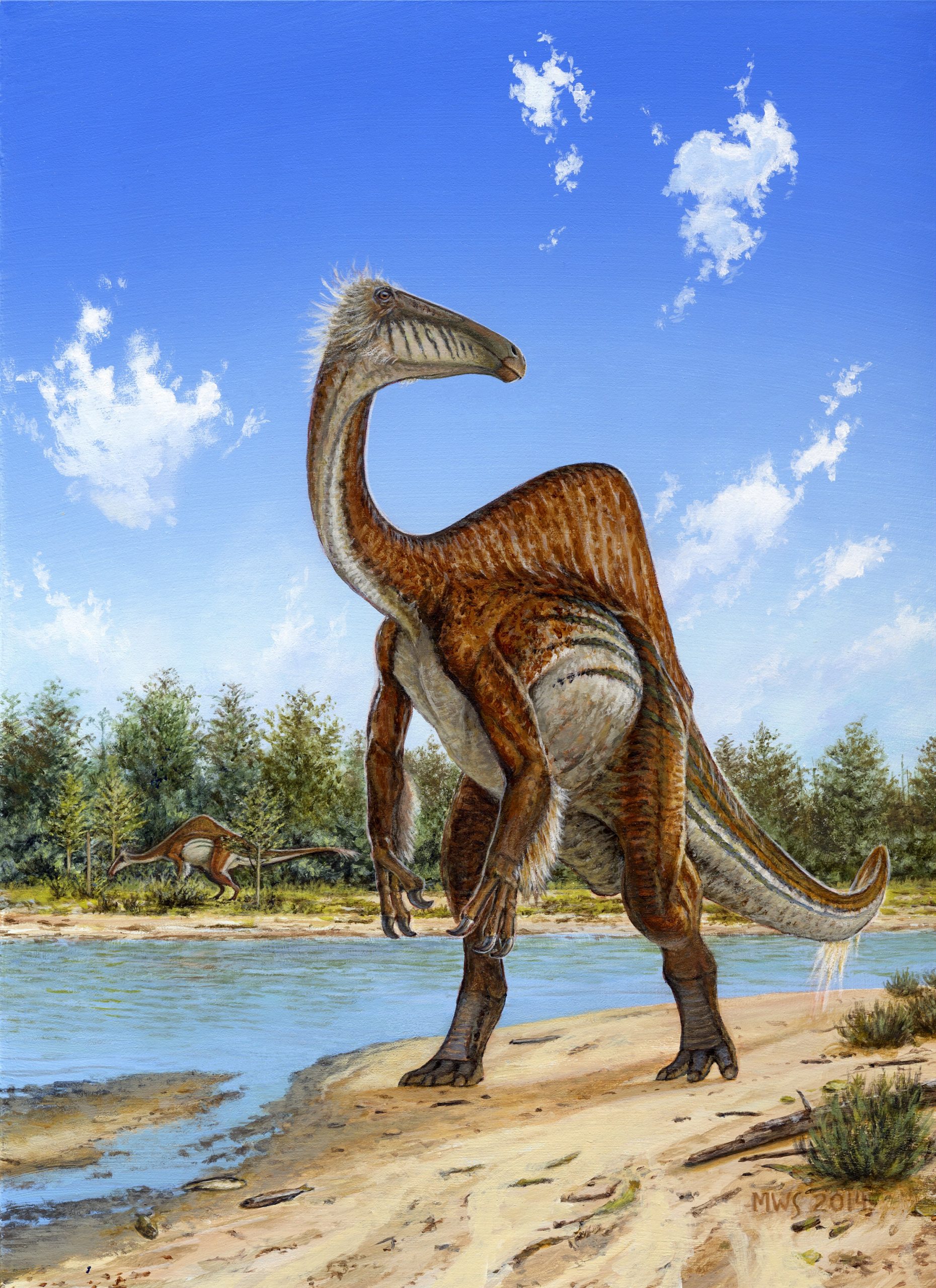 Bizarre dinosaur matched to an enormous set of arm bones - Ars Technica