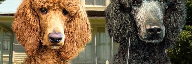 SSL broken, again, in POODLE attack | Ars Technica