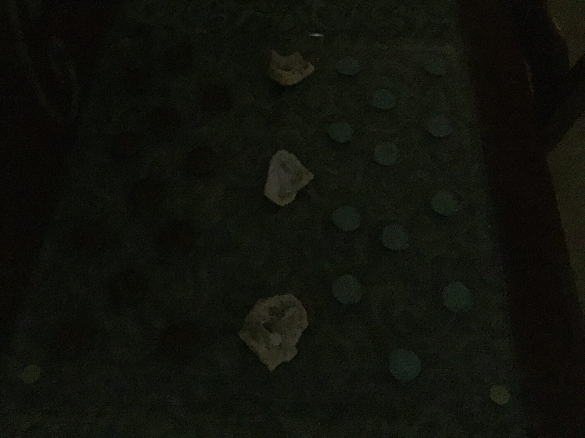 Shootout: How does a high-end smartphone camera compare to a $3,400 ...