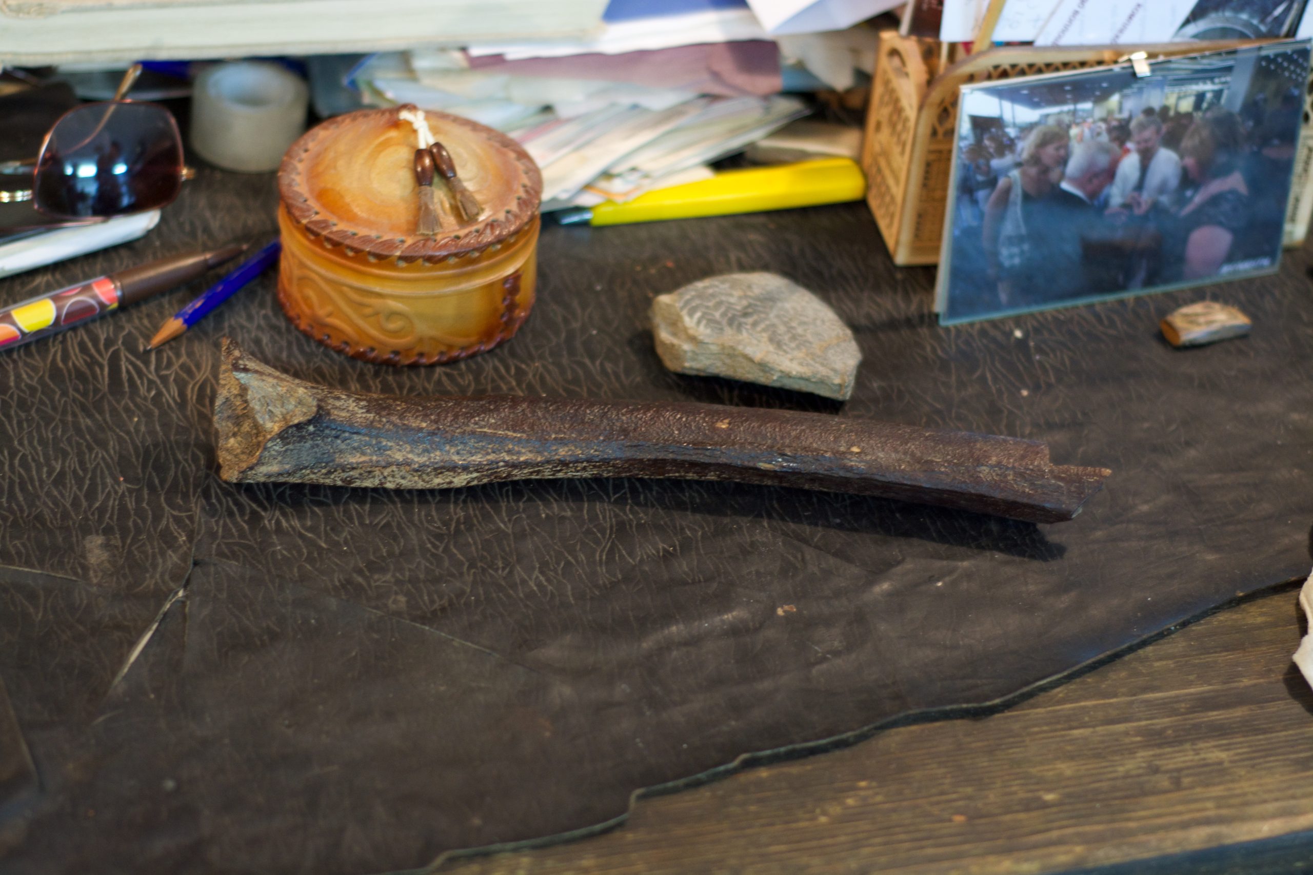 45,000-year-old modern human bone yields a genome - Ars Technica