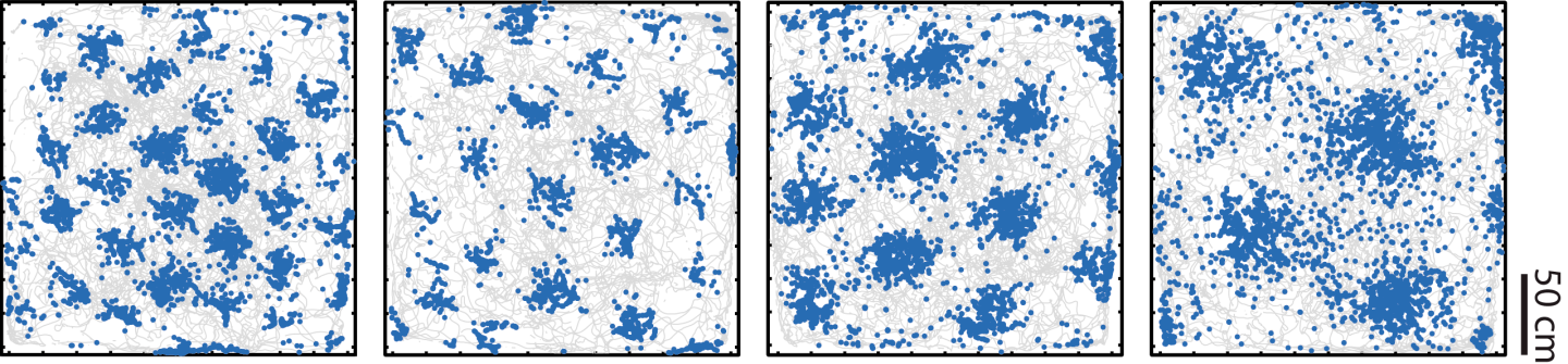 Where am I? Scientists win Nobel for putting us in place, on the grid ...