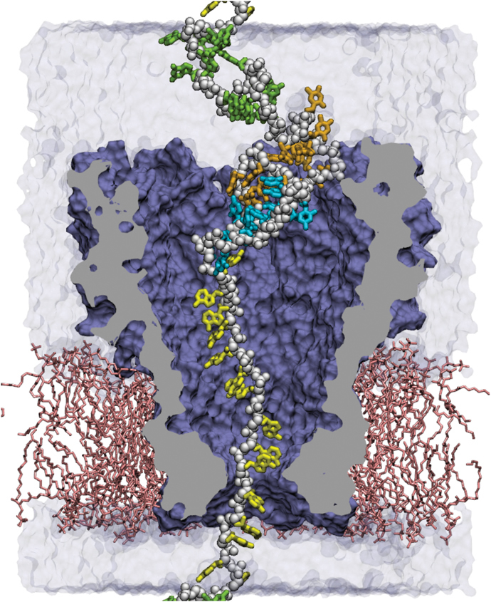 USB-sized DNA sequencer is error-prone, but still useful - Ars Technica
