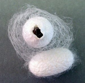 A silk casing enables long-lasting, implantable Wi-Fi medical devices ...