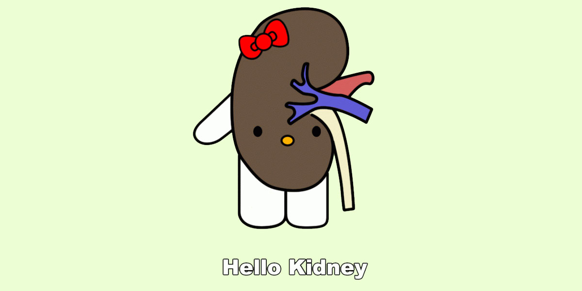 The math of organ donation: Kidneys are an NP-hard problem - Ars Technica