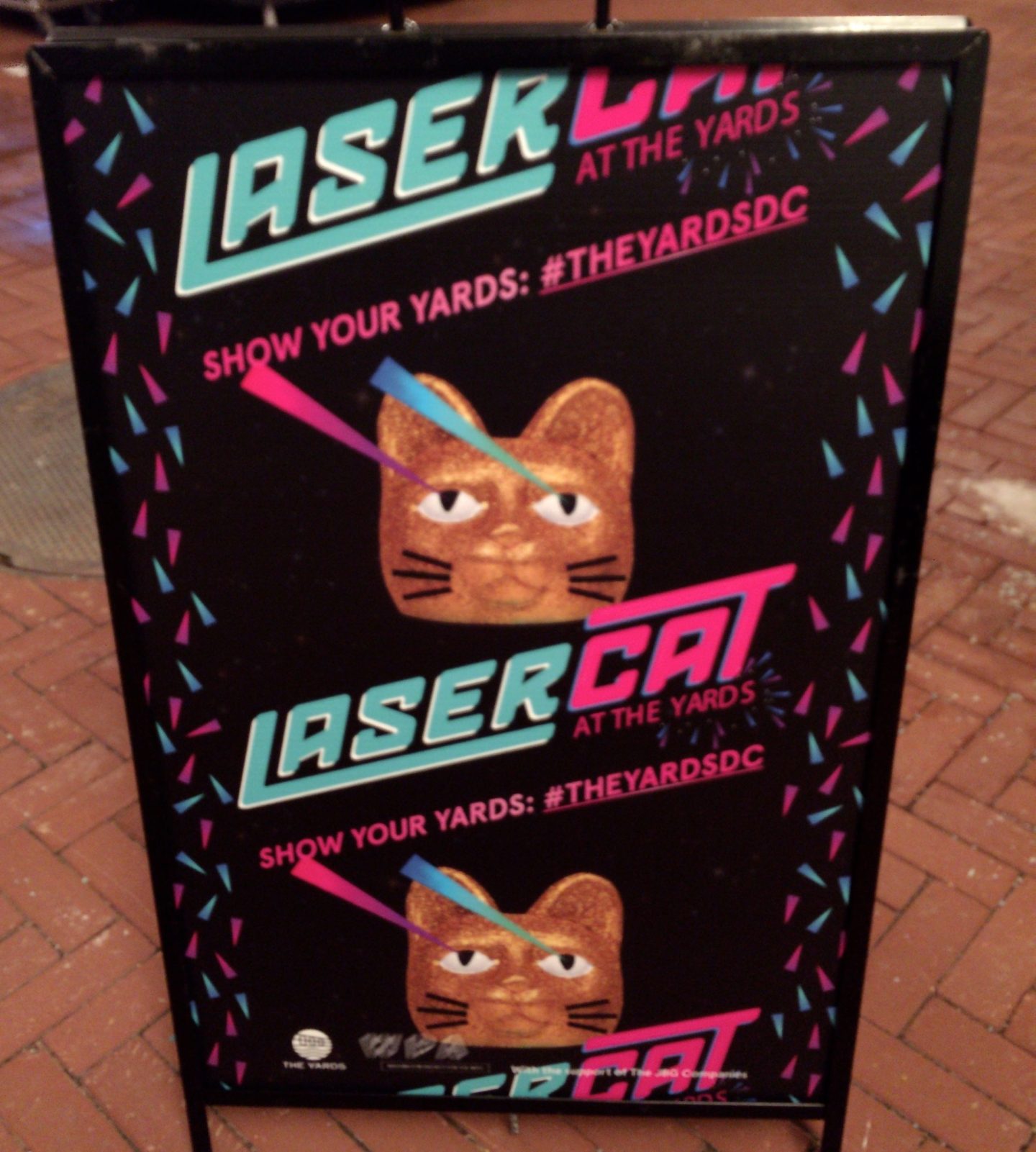 Ars meets Laser Cat - Ars Technica