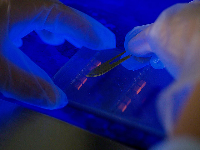 Your DNA is everywhere. Can the police analyze it? - Ars Technica