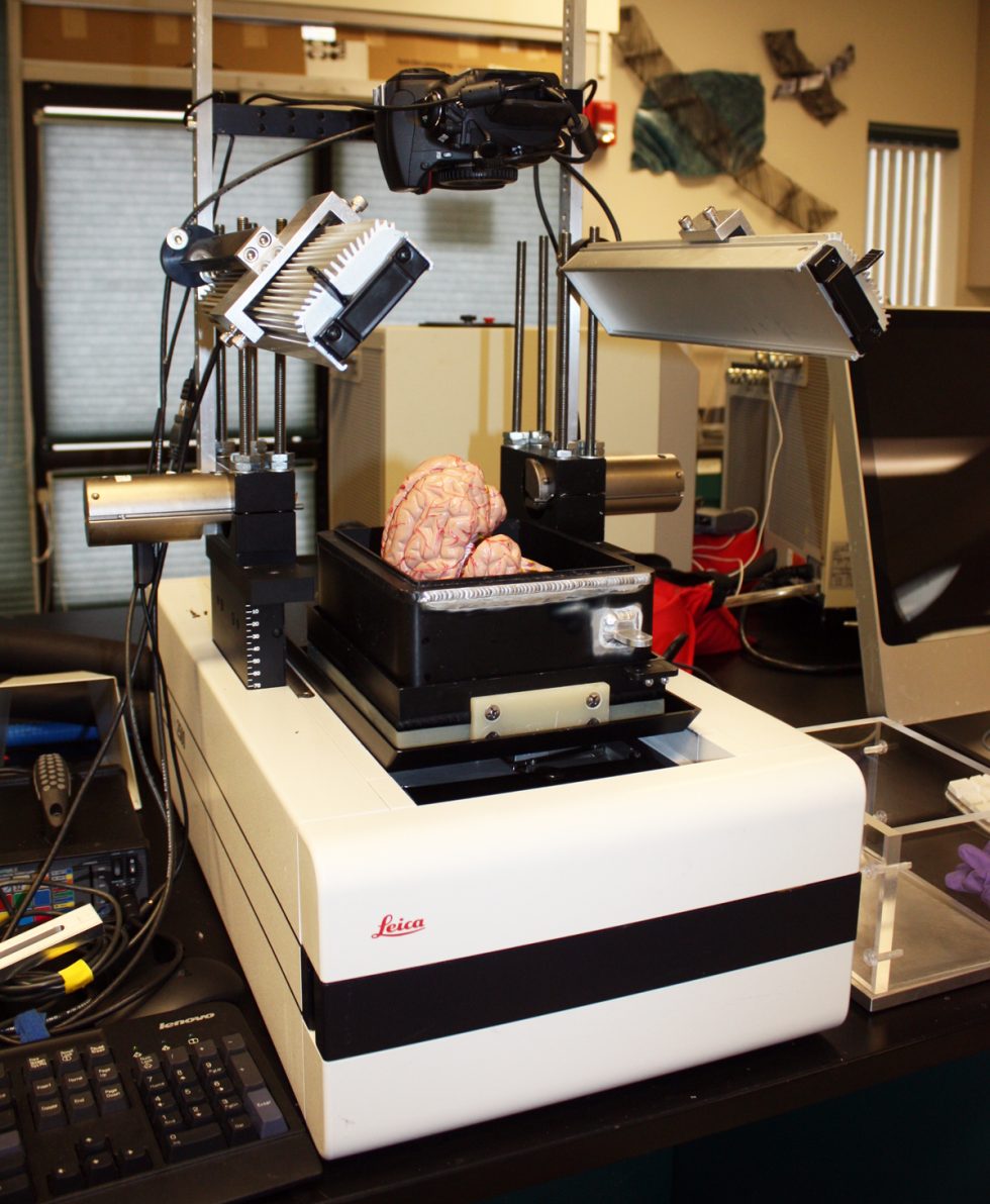 To digitize a brain, first slice 2,000 times with a very sharp blade ...