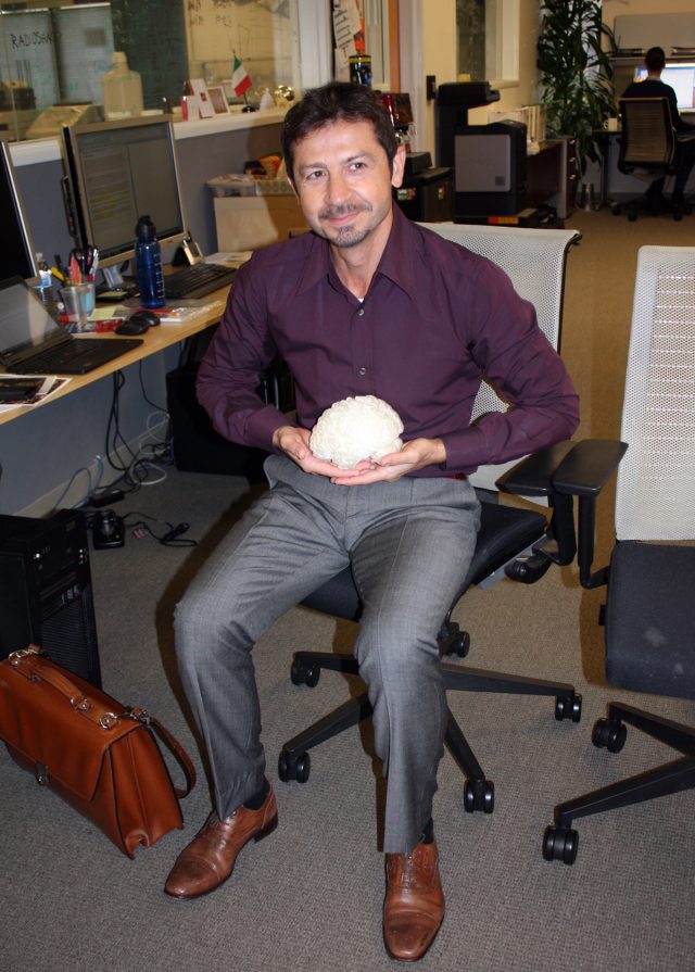 To digitize a brain, first slice 2,000 times with a very sharp blade ...