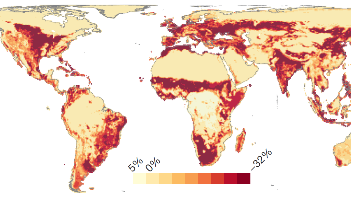 How human land use is changing the number of species in ecosystems ...