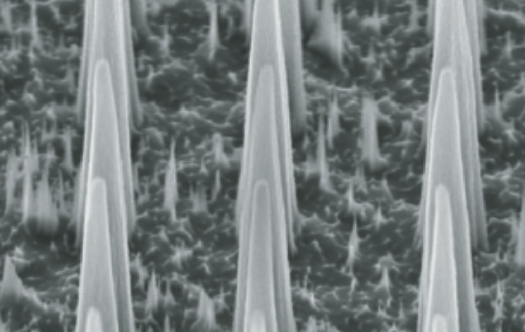 Nanoneedles deliver nucleic acids inside cells - Ars Technica