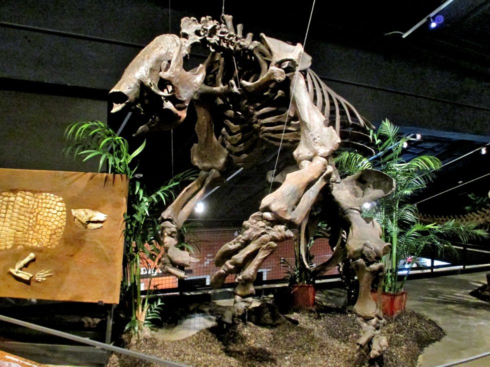 Ice Age hunters in South America preferred now-extinct megafauna - Ars ...