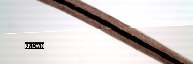 The science (and lack thereof) behind the FBI’s retreat on hair ...