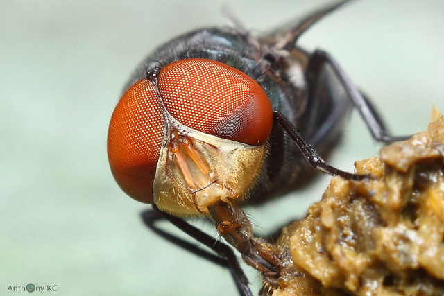 This is what happens after you die - Ars Technica