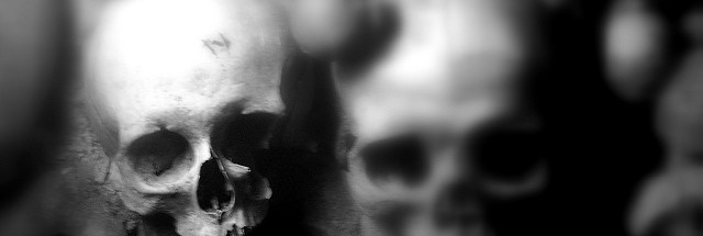 This is what happens after you die | Ars Technica