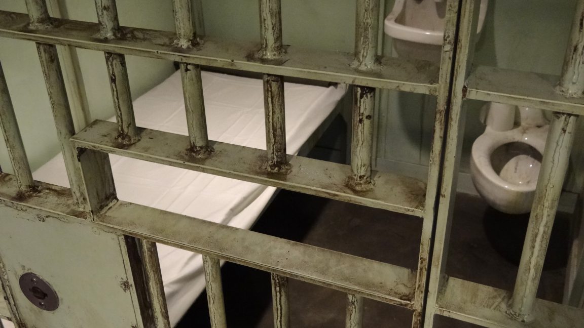 Software used in judicial decisions meets its equal in random amateurs ...