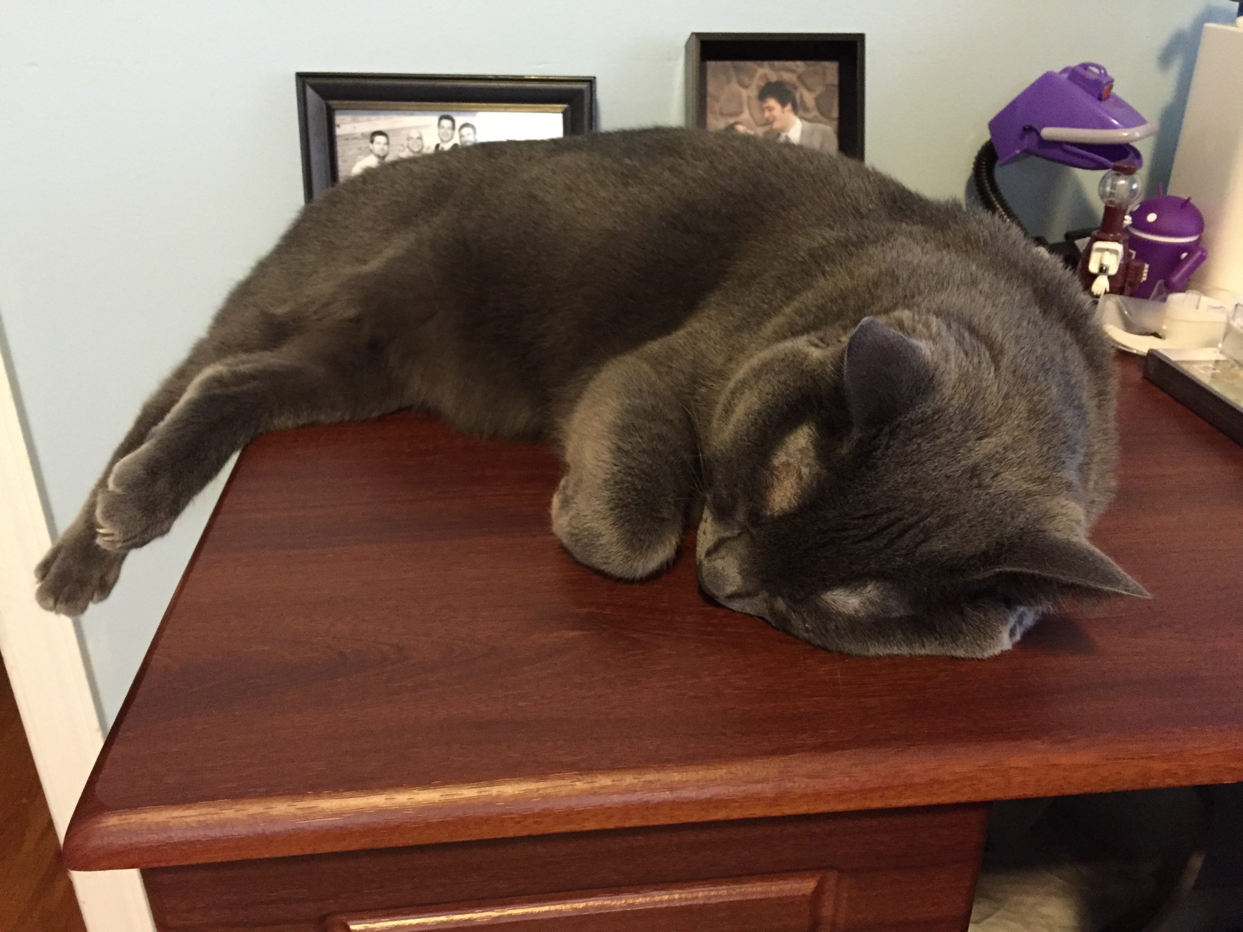 Great gadget, small audience: The sixth-generation iPod Touch reviewed ...