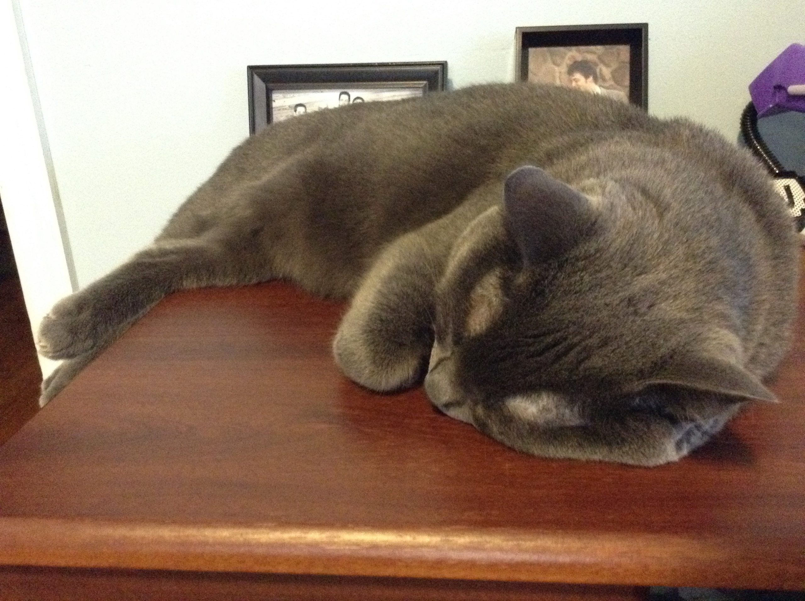 Great gadget, small audience: The sixth-generation iPod Touch reviewed ...