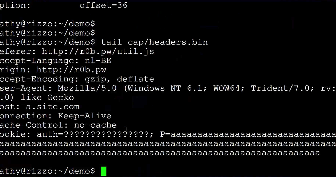 Once-theoretical crypto attack against HTTPS now verges on practicality ...